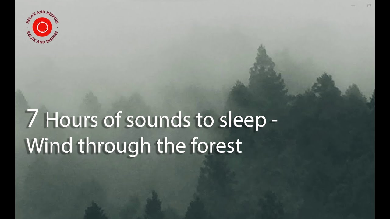 7 hours of sounds to sleep & relaxing. Calming sounds of wind blowing ...