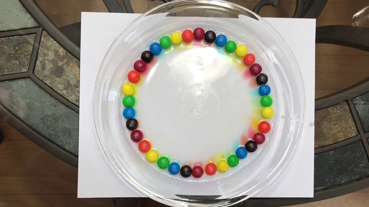 M&M and Water Experiment with Coach Karlee - YouTube
