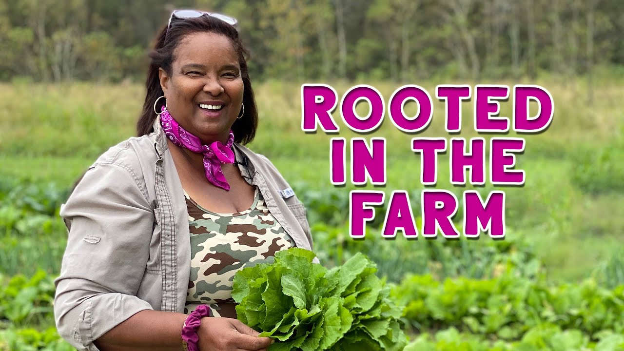 Rooted in the Farm - YouTube