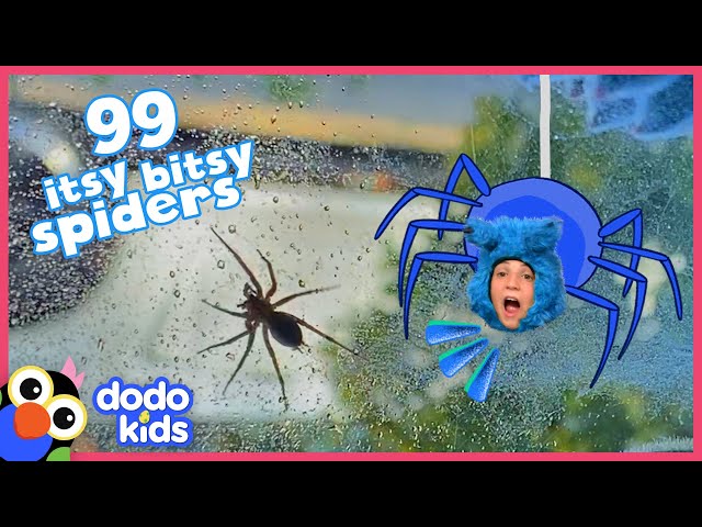Woman Who’s Afraid Of Spiders Has To Become A Spider Rescuer! | Dodo ...