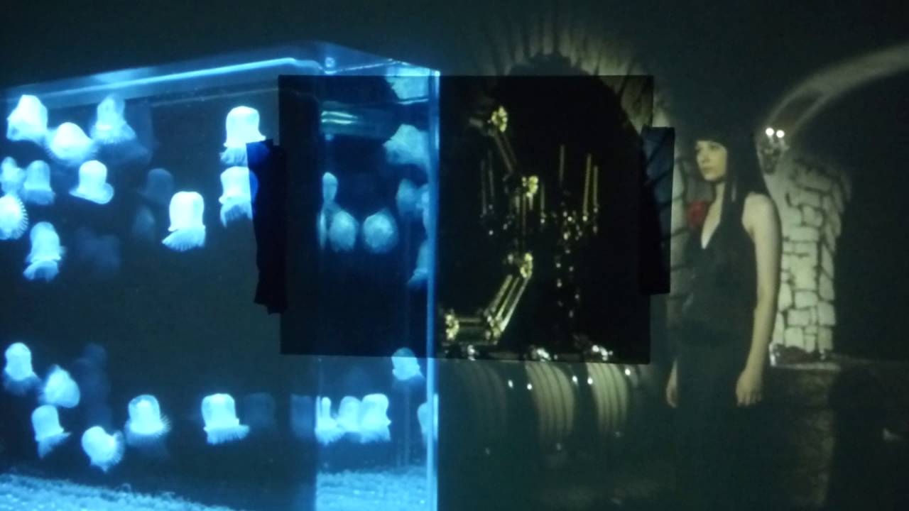 SILVER DIAMOND ULTRA BLACK HIGH CONTRAST TEST SCREEN VS WHITE WALL ...