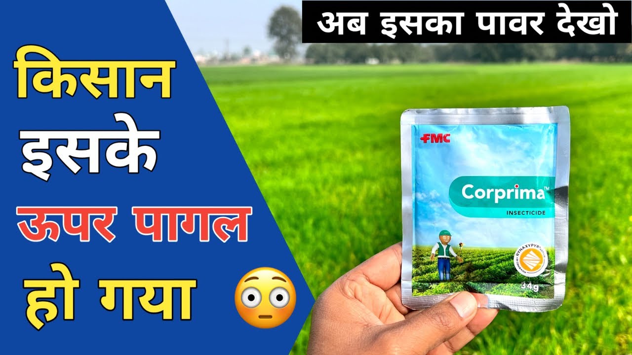FMC Corprima 😳 अब फ़सलो में कीटों की टेंशन ख़त्म 😍 Corprima का कमाल 💯 ...