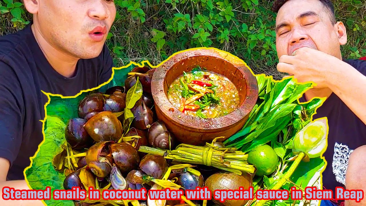 Steamed snails in coconut water with special sauce in Siem Reap - YouTube