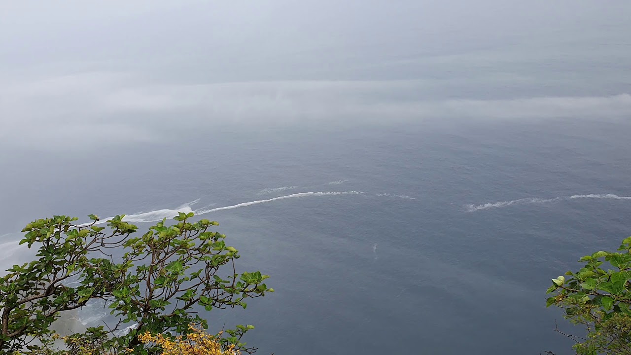 Shaat sea view point #Salalah, نقطة رؤية البحر منطقة شعت #صلالة #Shorts ...