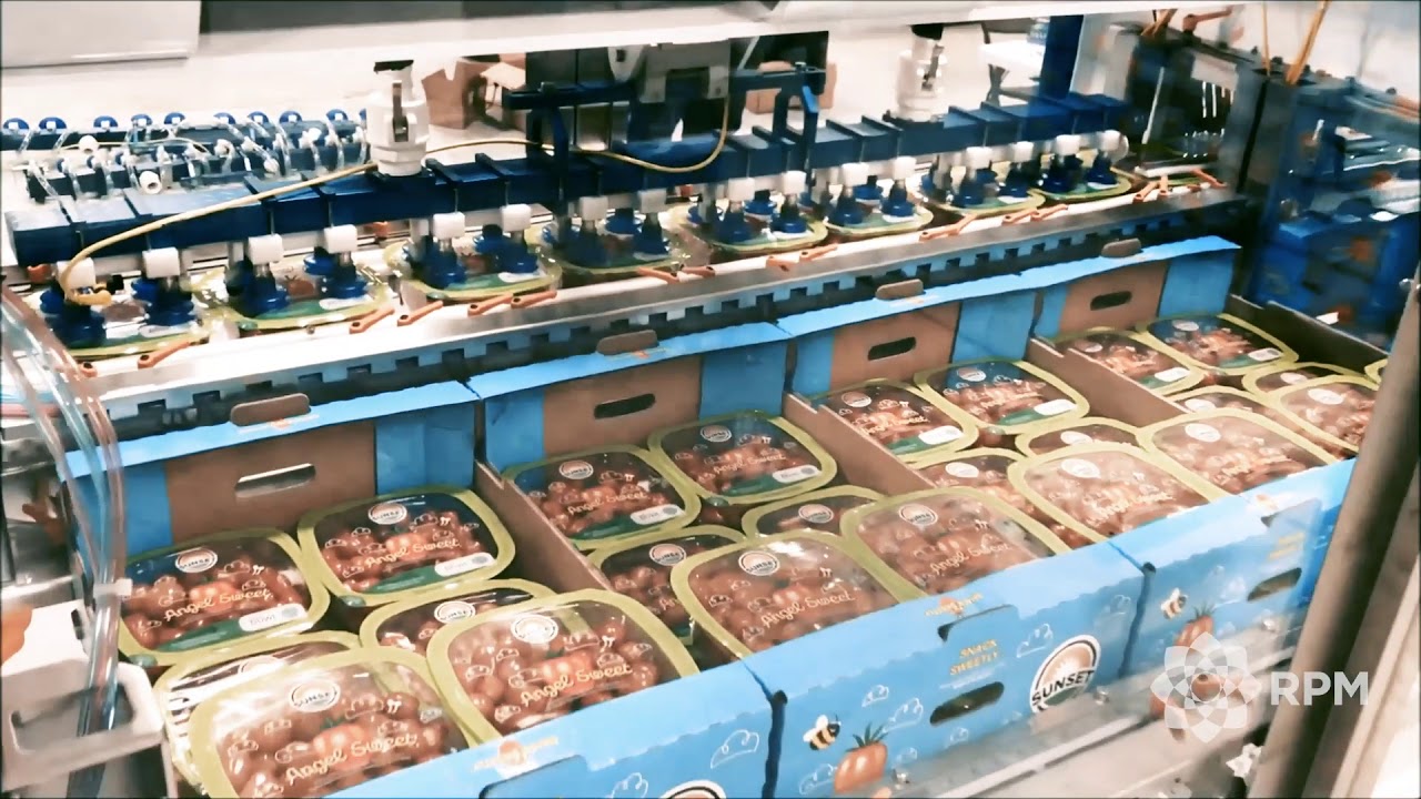 RPM TL2+ Case Packer - Loading Produce Into Shipper Trays - YouTube