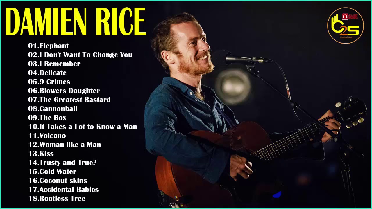 Damien Rice Greatest Hits - Best Songs Of Damien Rice - YouTube