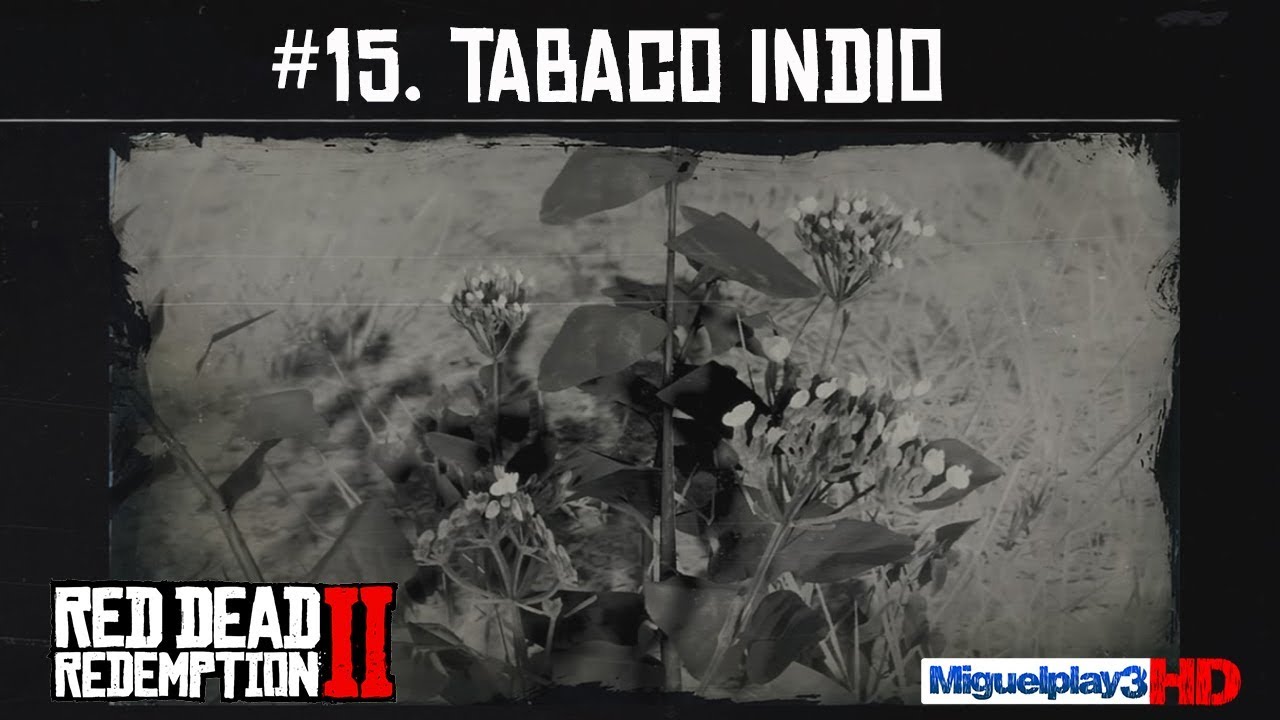 Localización Tabaco Indio - #15.Compendio Plantas - Red dead redemption ...