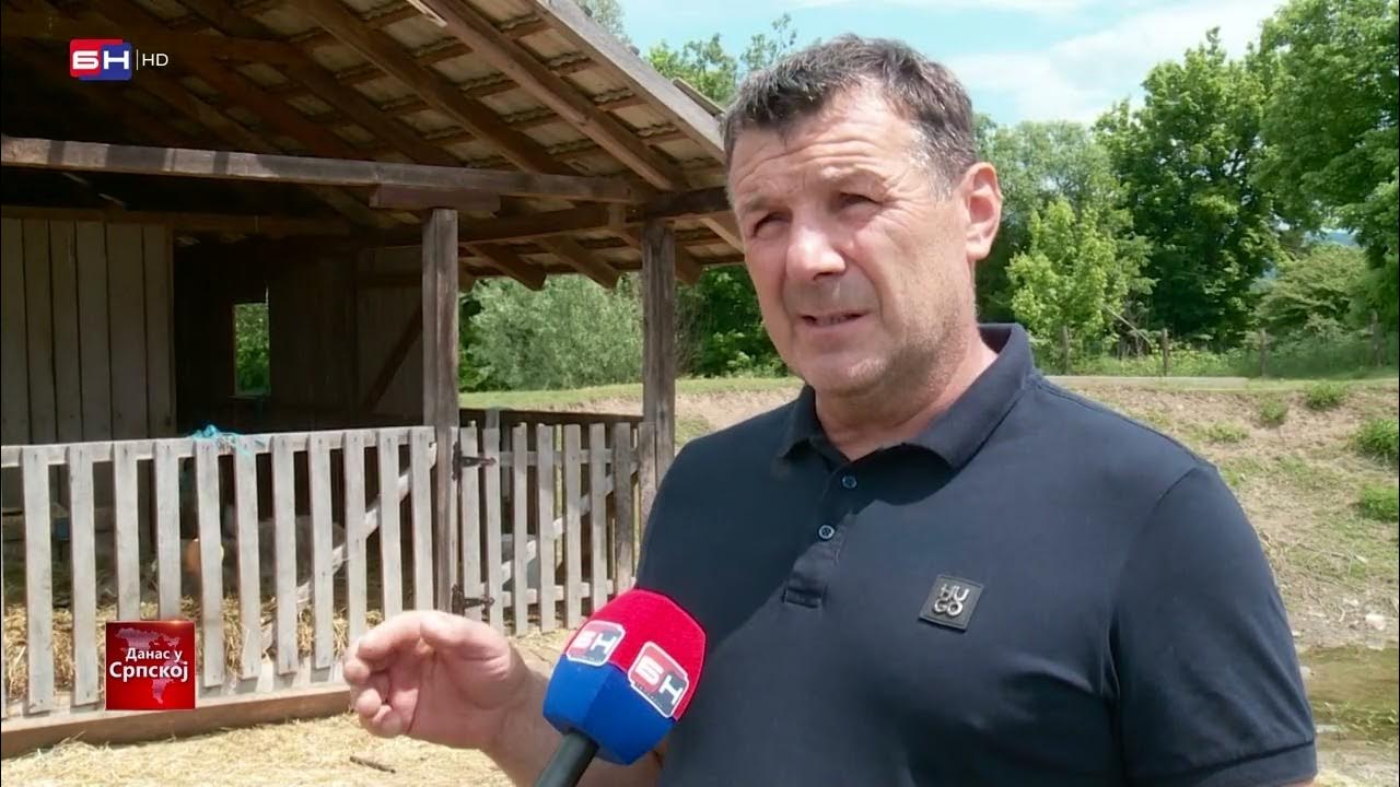 Psi lutalice napali stado ovaca u Boljaniću kod Doboja - YouTube