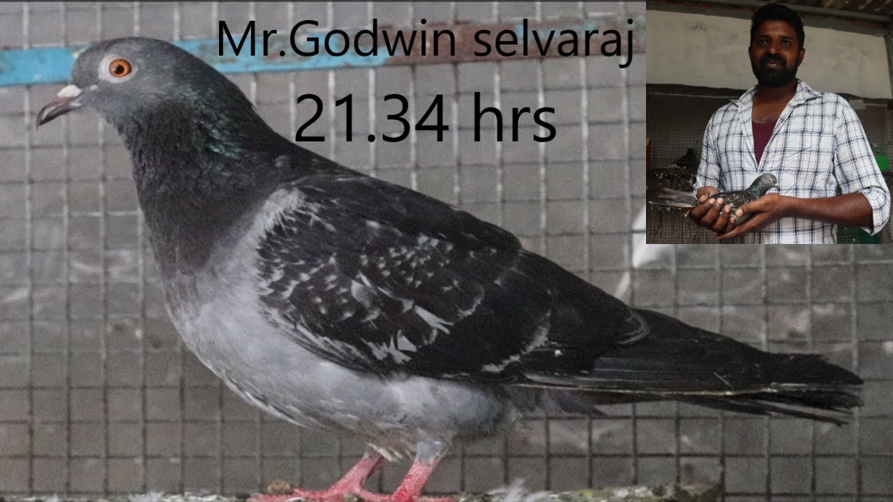 Mr.Godwin selvaraj 21.34 hrs - YouTube