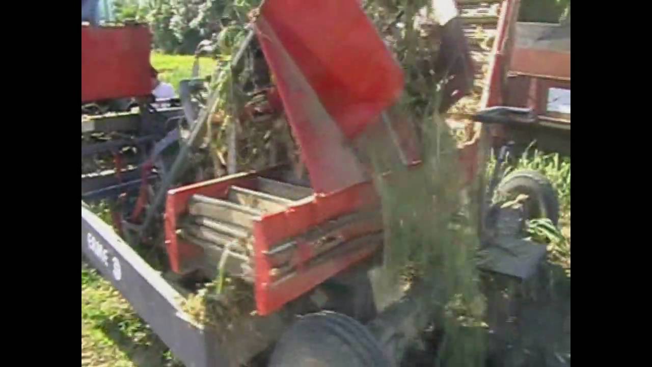 ERME: 3 row harvester topper Conveyor Belt.wmv - YouTube