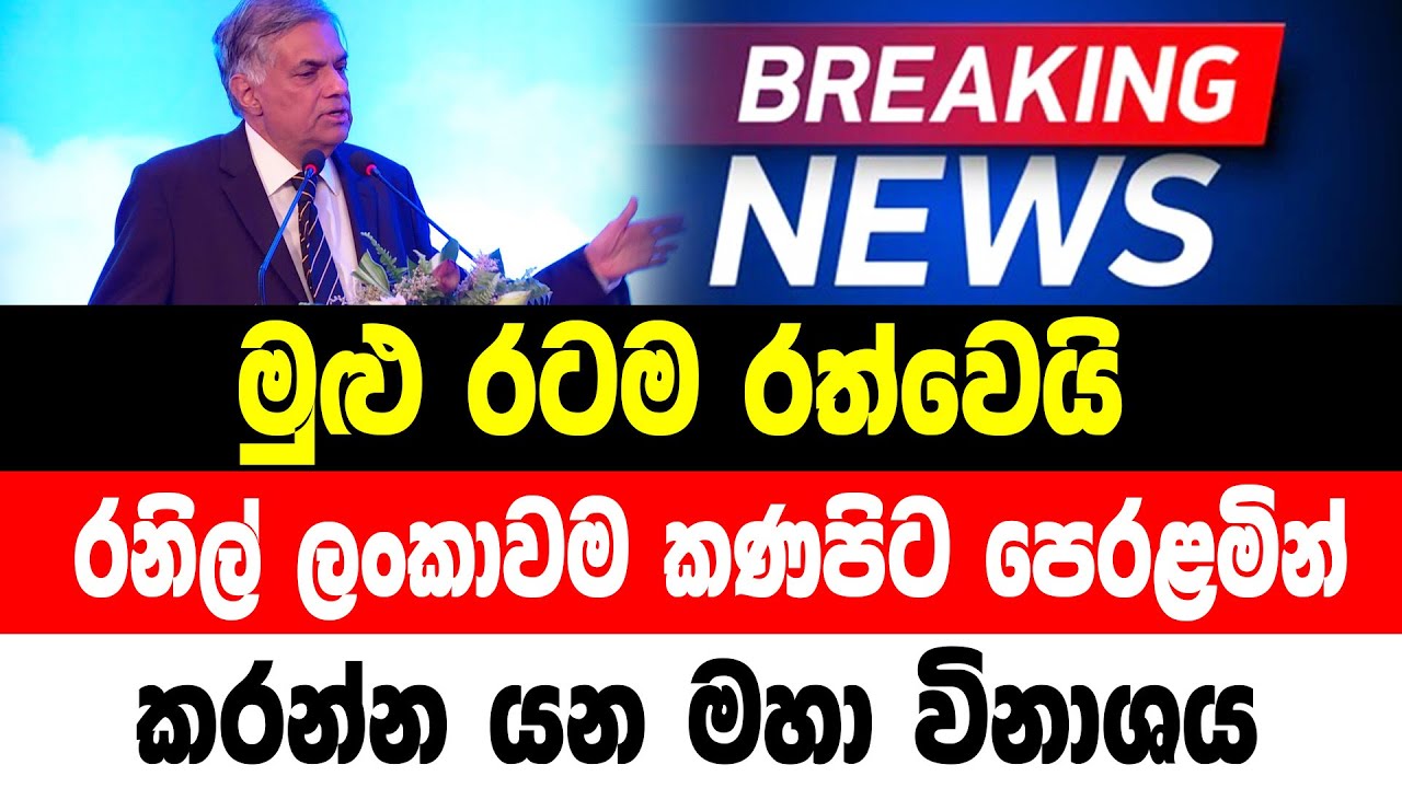 NEWS 1st TODAY BREAKING NEWS | Special announcement issued by President ...