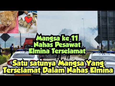 Viral - Satu Satunya Mangsa Yang Terselamat Dalam Nahas Di Elmina ...