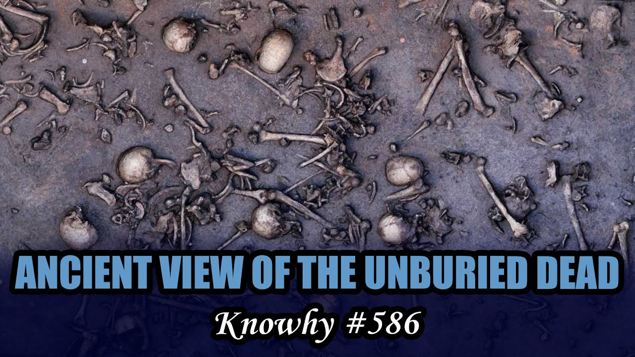 Why Were the Unburied Dead So Troubling to the Jaredites? (Knowhy #586 ...