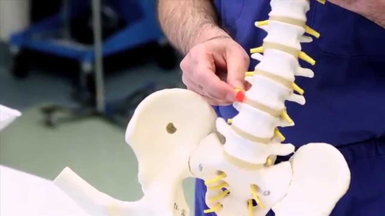 Endoscopic Disectomies & Open Tubular Microdisectomy - YouTube