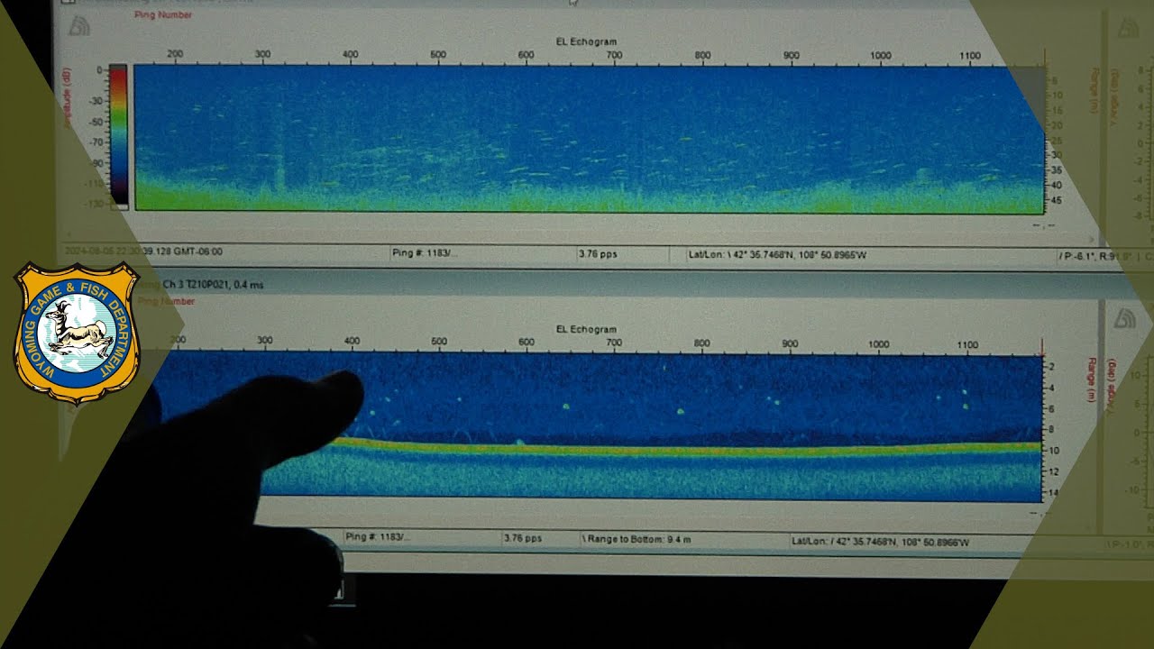 Louis Lake Sampling - YouTube