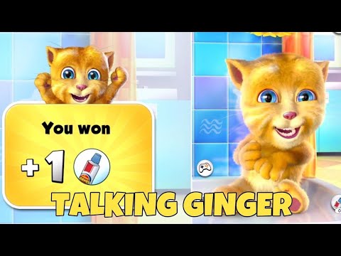 talking ginger # brushing teeth # fun time # enjoying - YouTube
