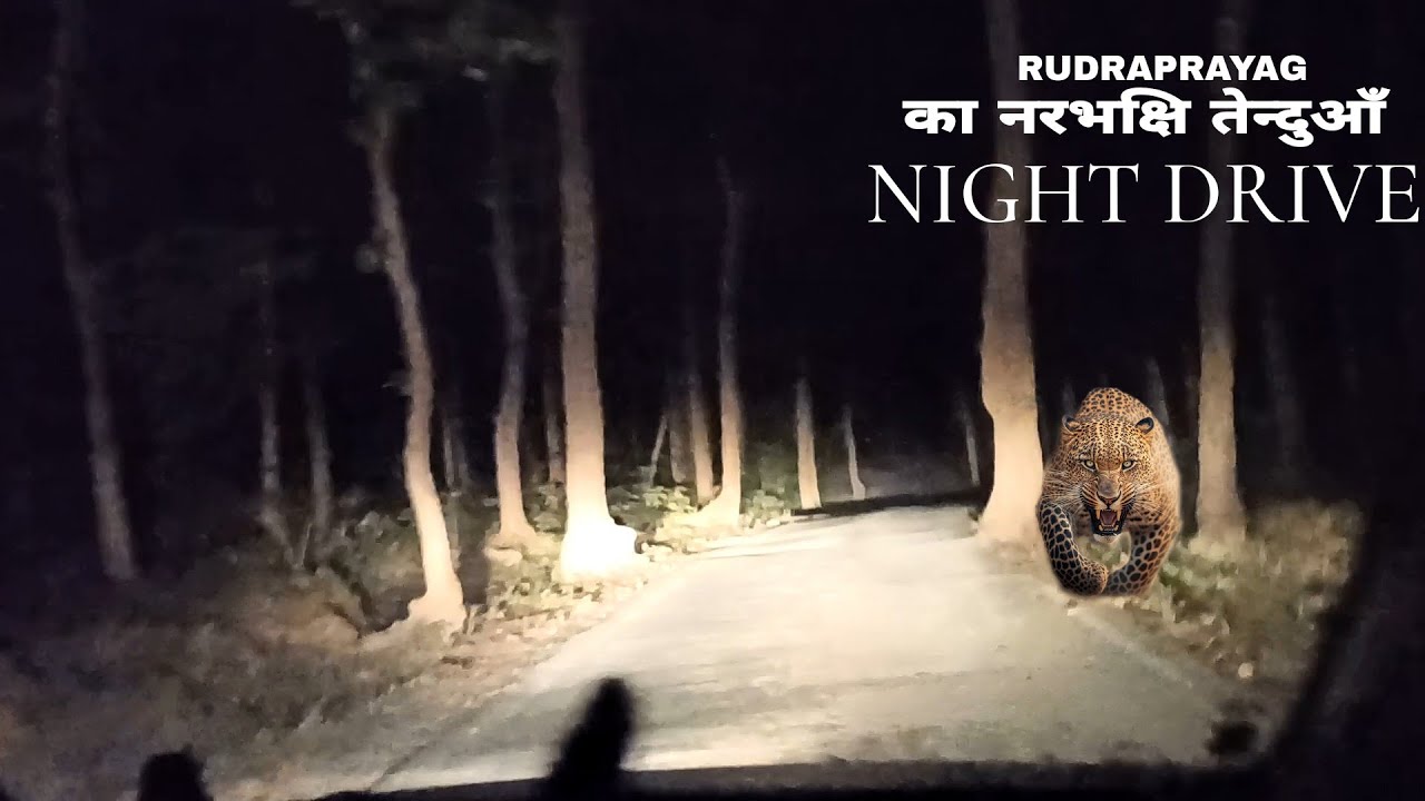 Man Eater Leopard of Rudraprayag Part-1 Jim Corbett story#jungledrive ...