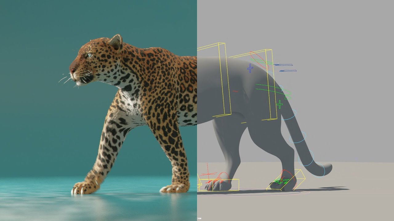 Leopard Walk Cycle - 3D Animation Breakdown - YouTube
