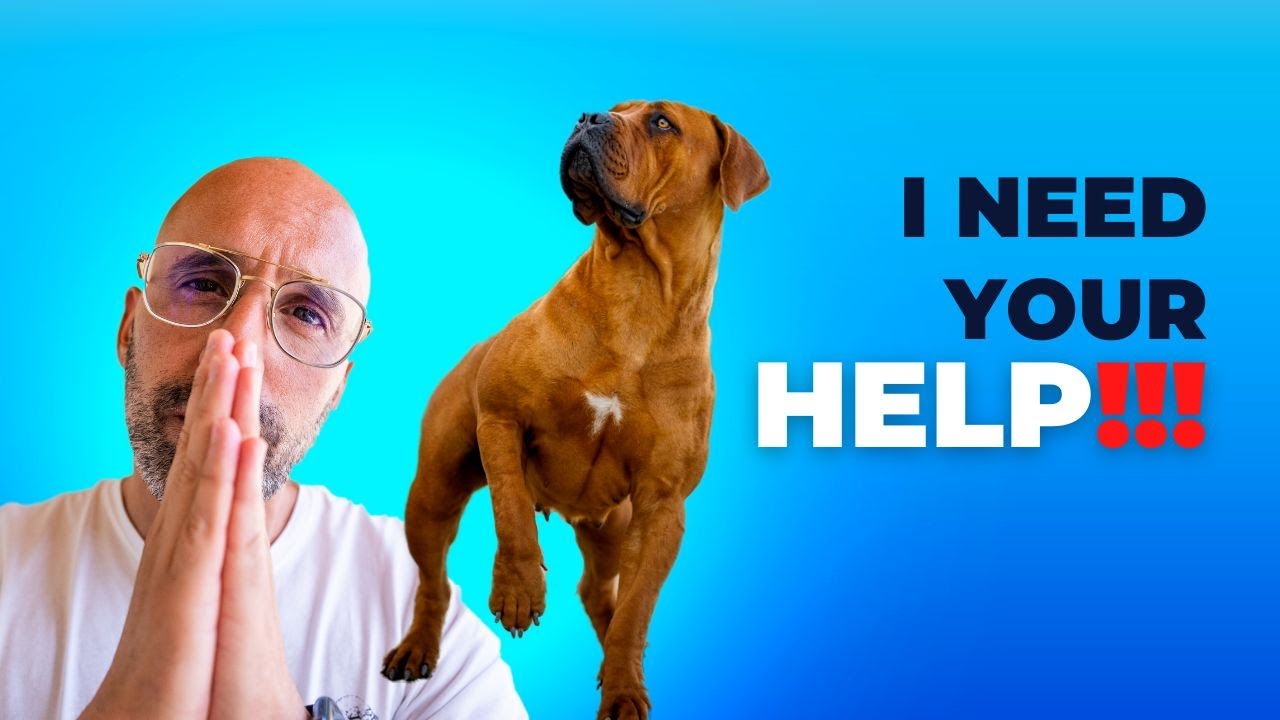 First of Many i need your help - YouTube