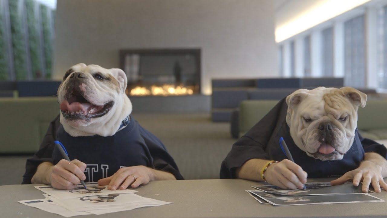 Georgetown Jack and Butler Blue III Reunited (Mascots for Georgetown ...