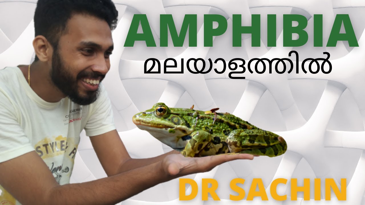 class amphibia | malayalam | animal kingdom | class 11 | knowledge ...