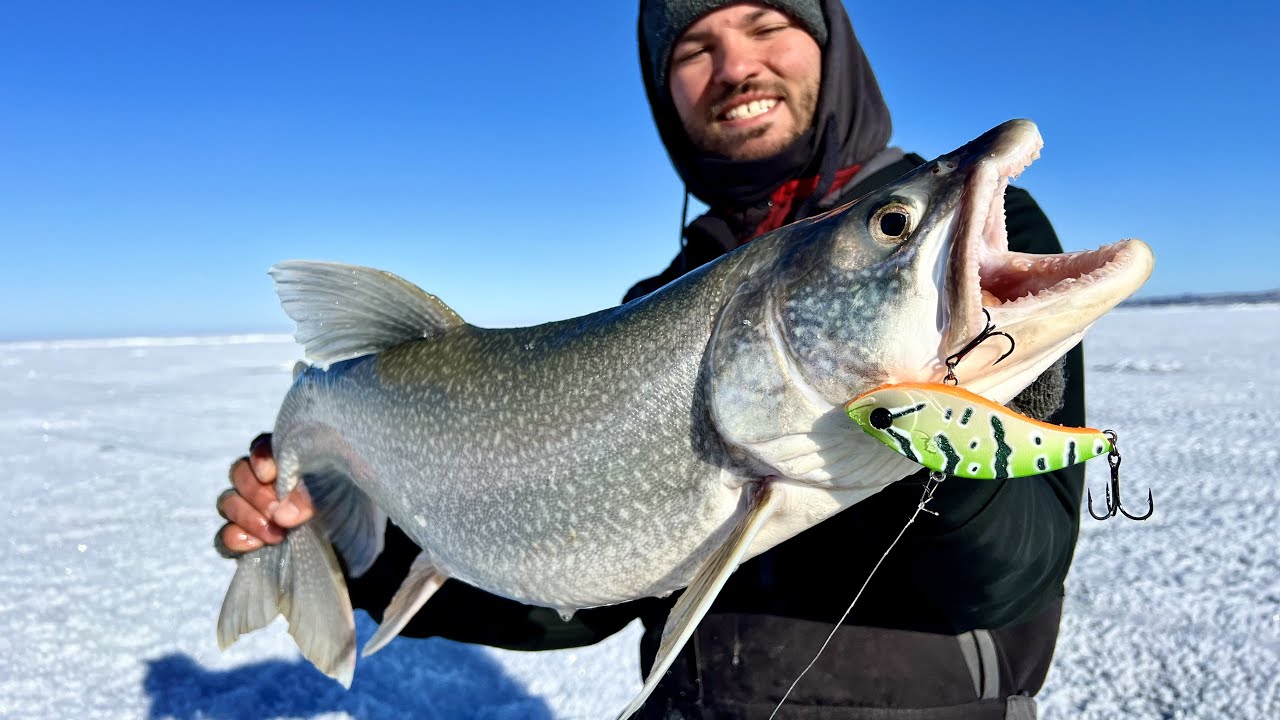 Catching BIG Lake Trout on BIG BAITS! (Fort Peck, Montana) - YouTube