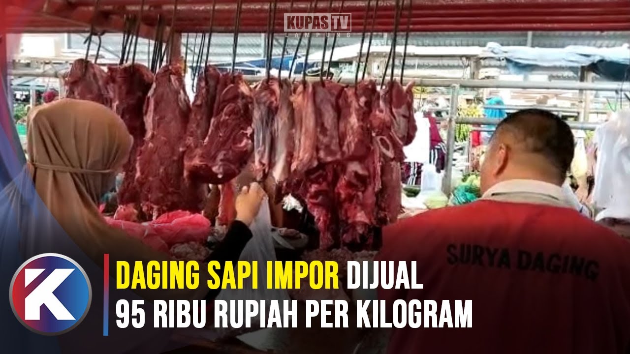 Bulog Lampung Impor 25 Ton Daging Sapi dari Brasil - YouTube