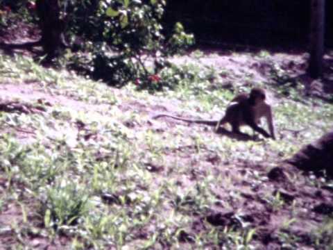 S8 1975 04 Kenya
