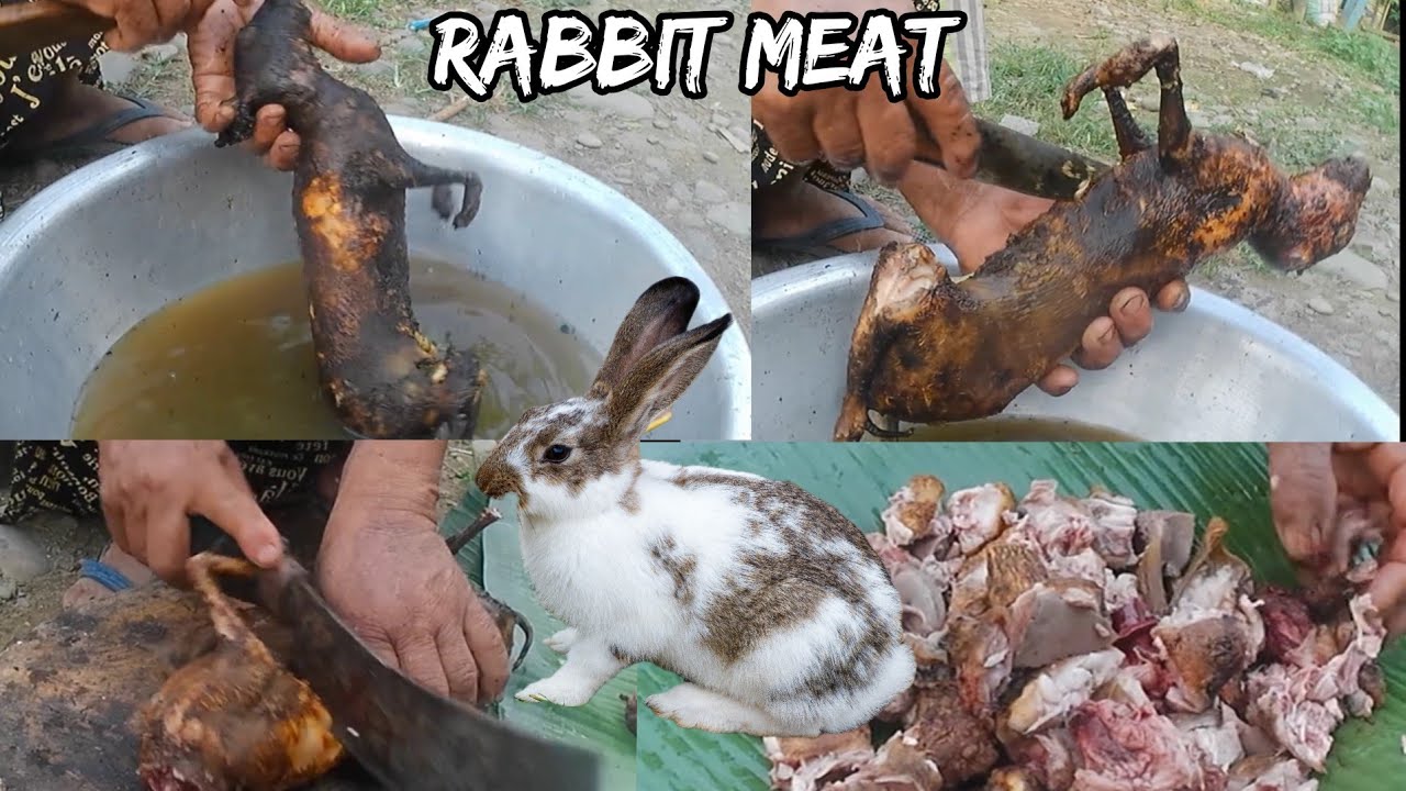 Rabbit meat cutting skill n Roasting - YouTube