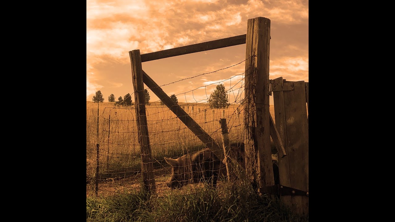 Every Other Day Or So Art Studio Progress Update Walk Through Video 6 Preparing For Winter ...