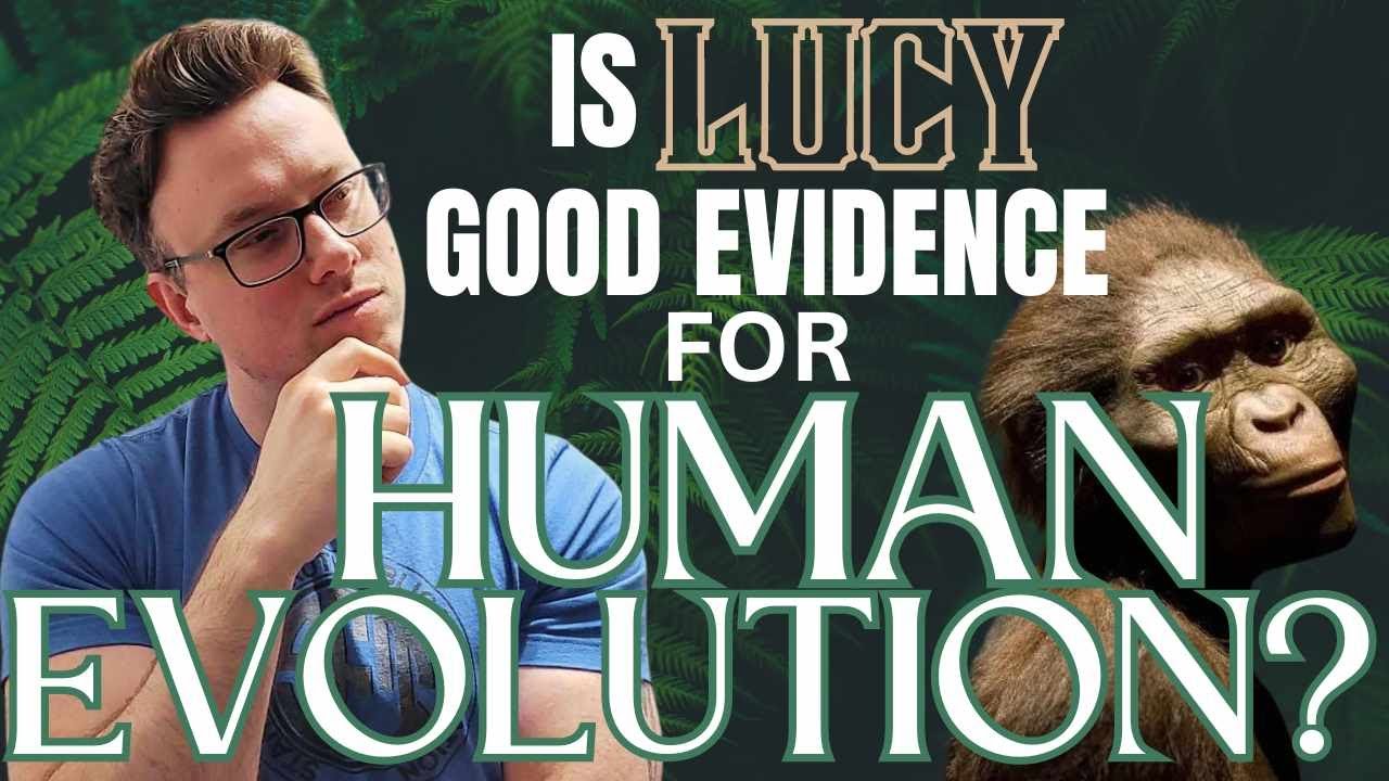 Lucy the Australopithecine: Undeniable Evidence for Ape-to-Man ...