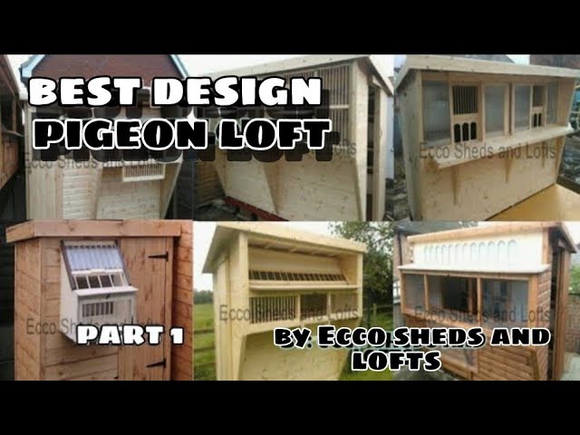 Starter Pigeon Loft Plans Construction