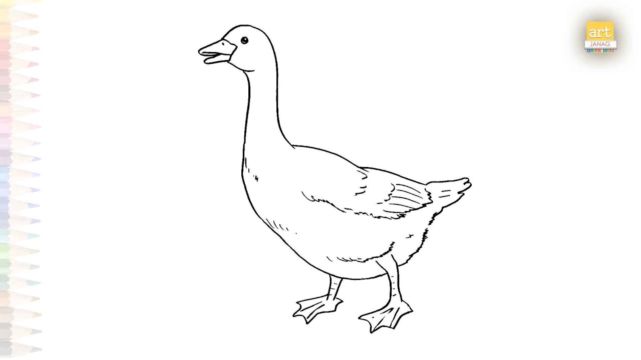 Goose drawing easy 01 | Art tutorial | How to draw A Goose step by step ...