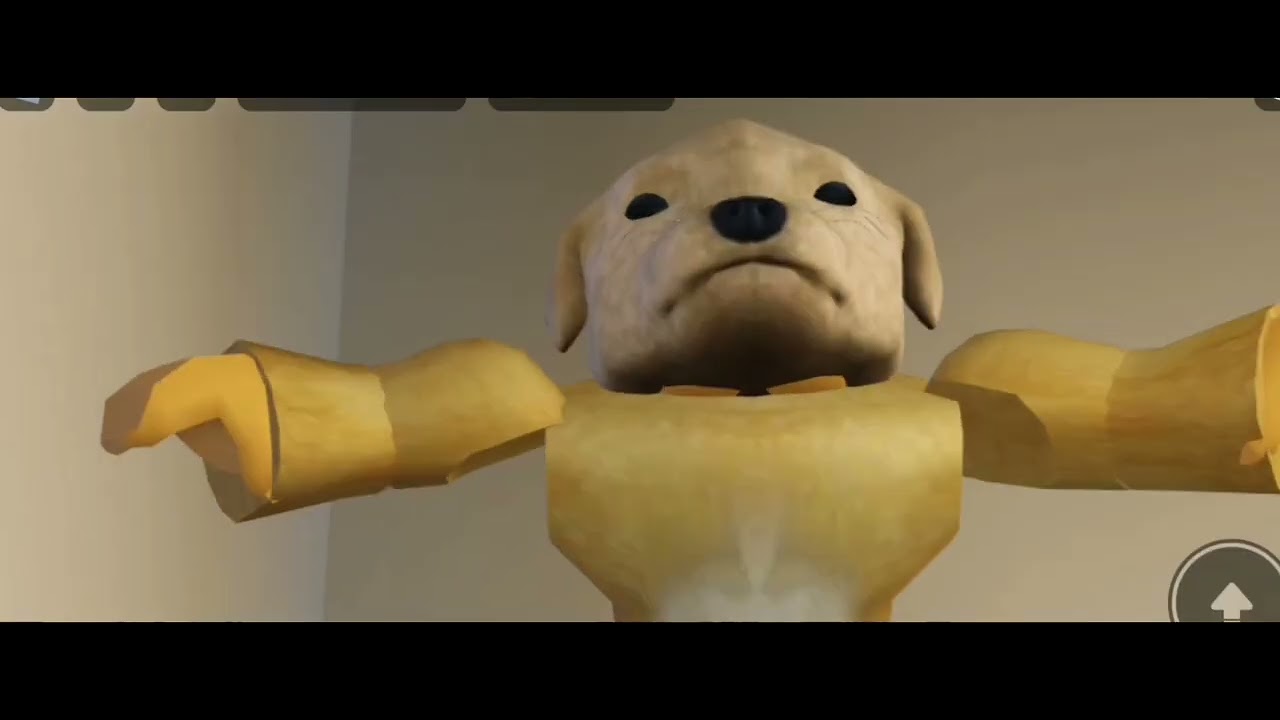 me caí de las escaleras y me rompí todo el perro xd xd xdd VIDEO DE ...