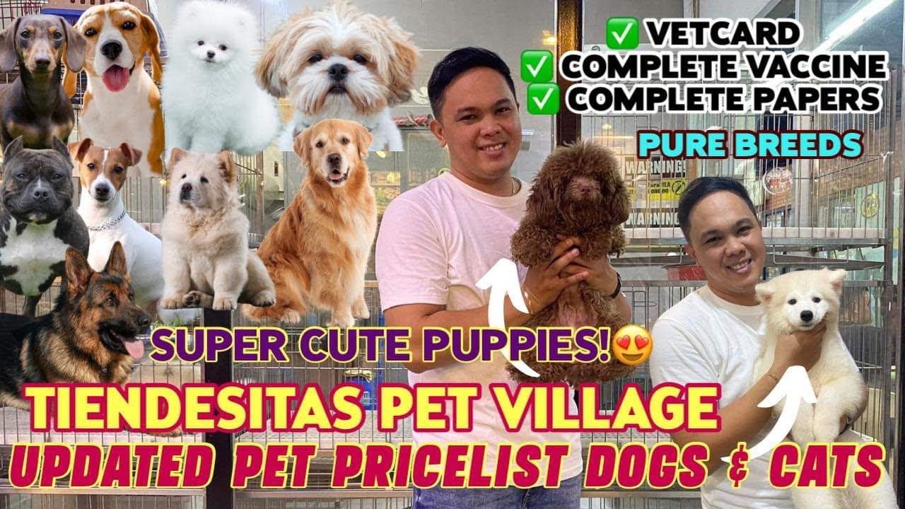 SEPT 2023 UPDATED PET PRICE LIST IN TIENDESITAS PET VILLAGE!🐶🐱🐾100 ...