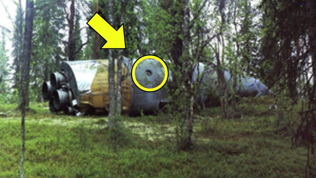 Man Finds Giant Rocket In Forest. He's Stunned When He Sees What's ...