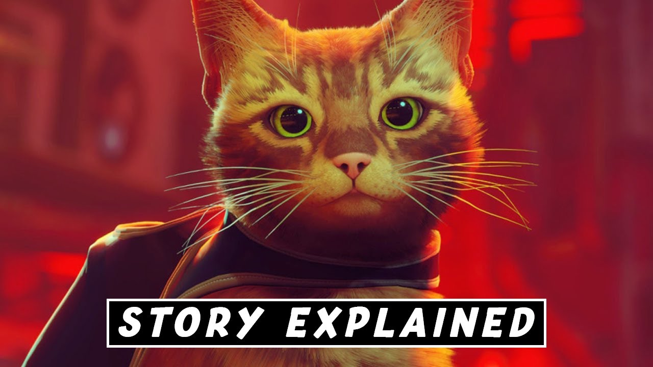 Stray Story & Ending Explained - YouTube