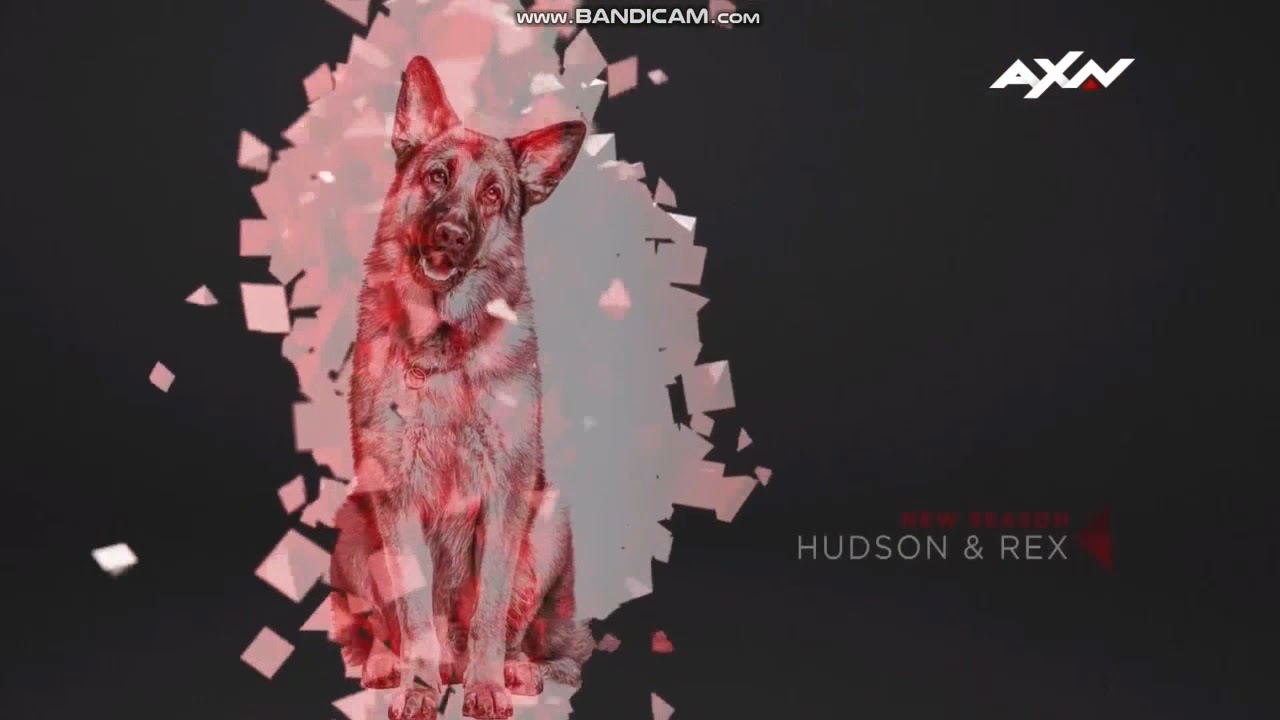 AXN asia January 2022 - YouTube