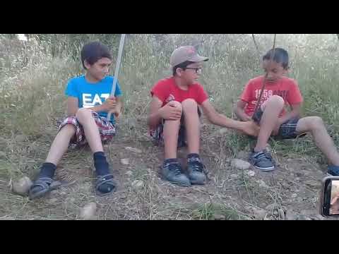 Ape heci gutiye ezıltexım