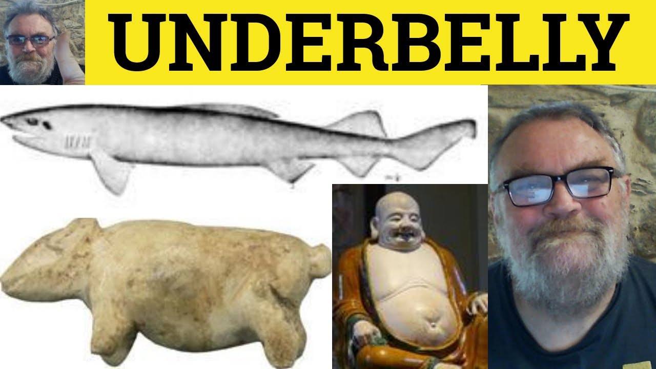 🔵 Underbelly Meaning - Soft Underbelly Examples - Underbelly Defined ...
