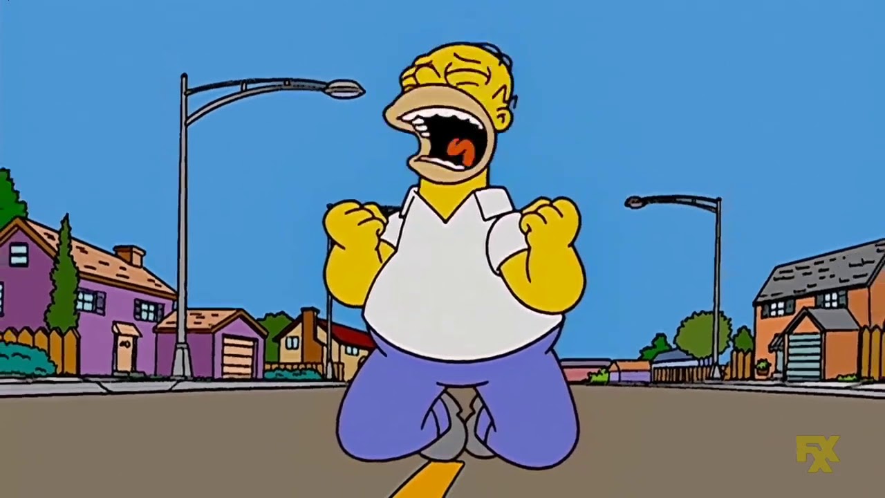 Homero Llorando - YouTube