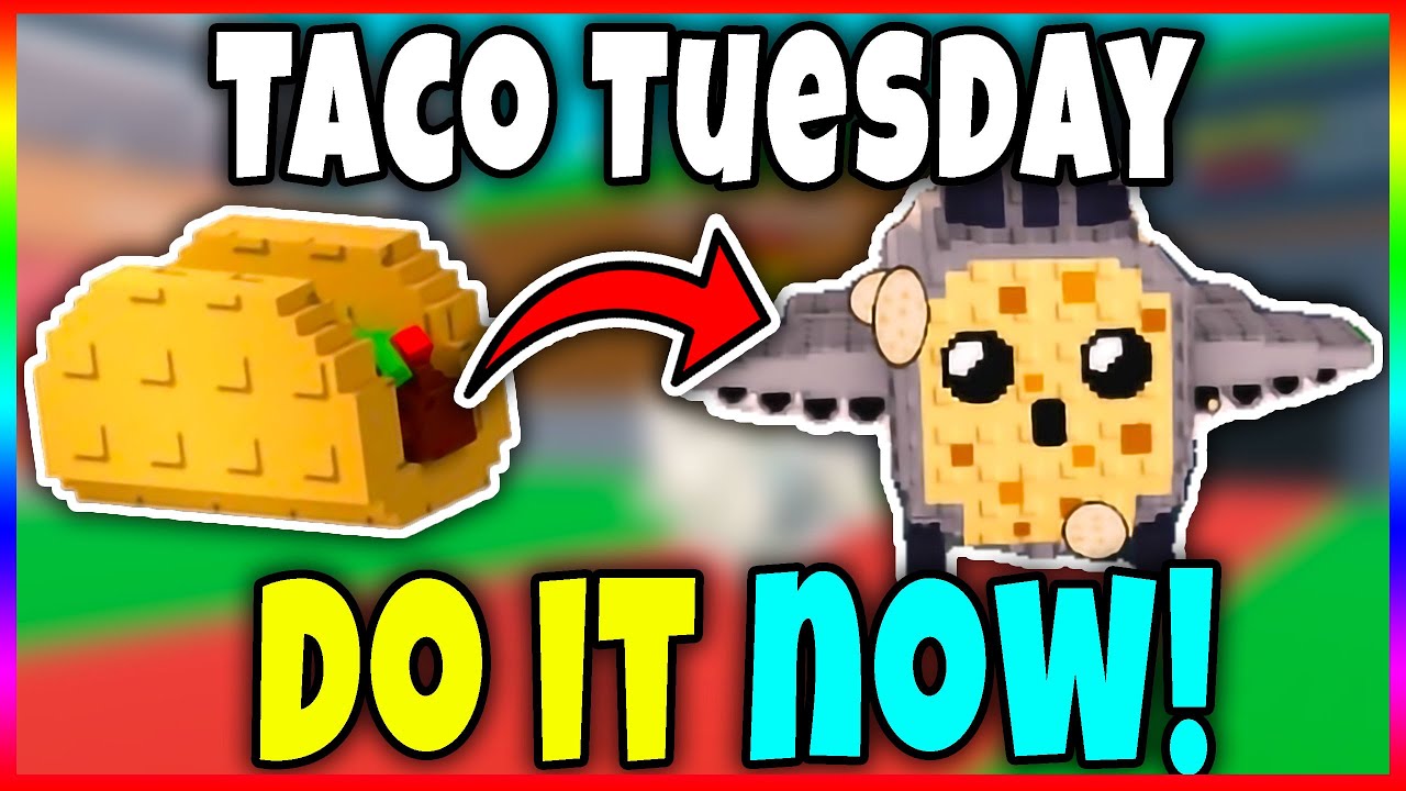 TACO TUESDAY TIME & HOW TO PREPARE for ADMIN ABUSE [STEAL A BRAINROT ...