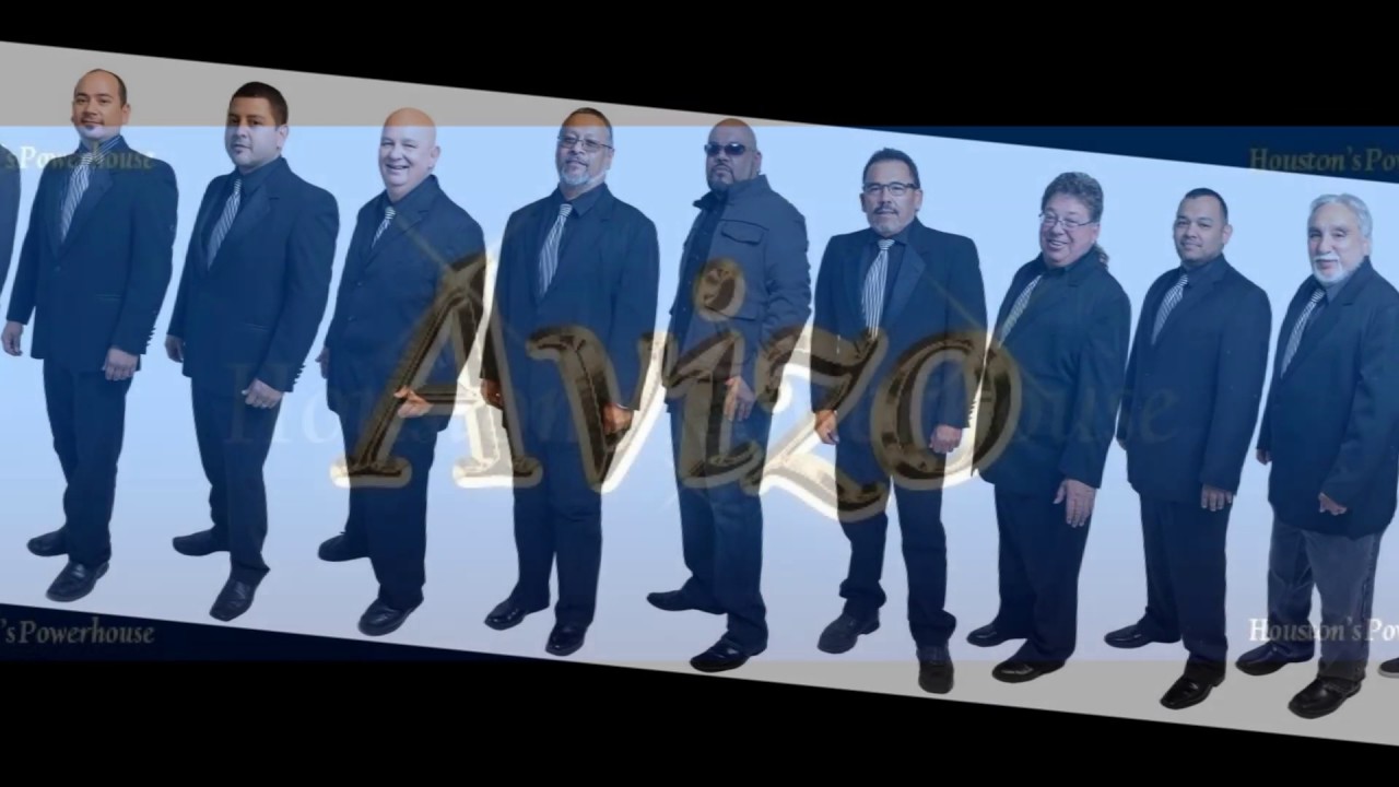 AVIZO - YouTube
