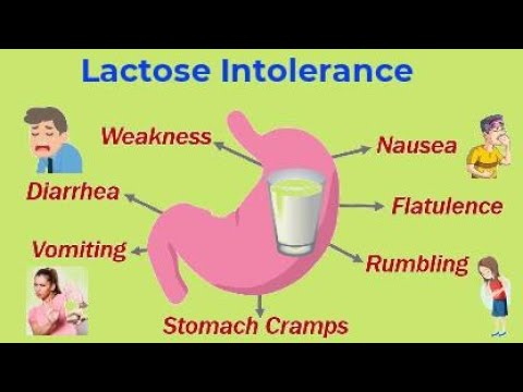 Lactose Intolerance with Animation by Ashish kumar #Nursinghindi - YouTube