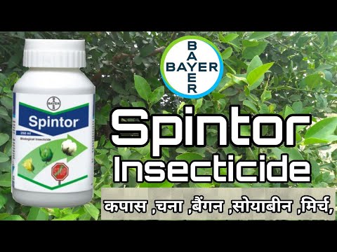 Spintor Insecticide || Bayer || Spinosad 45%Sc || - YouTube