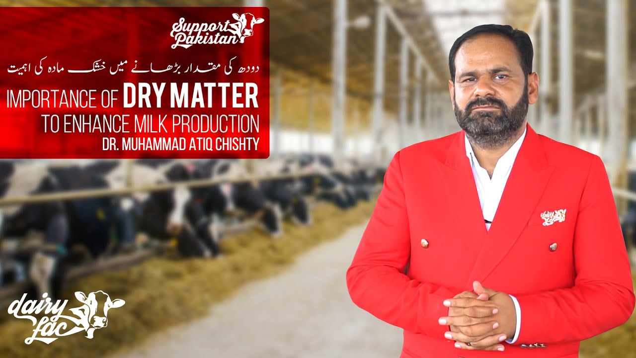 Importance of dry matter to enhance milk production - Dr. Muhammad Atiq ...