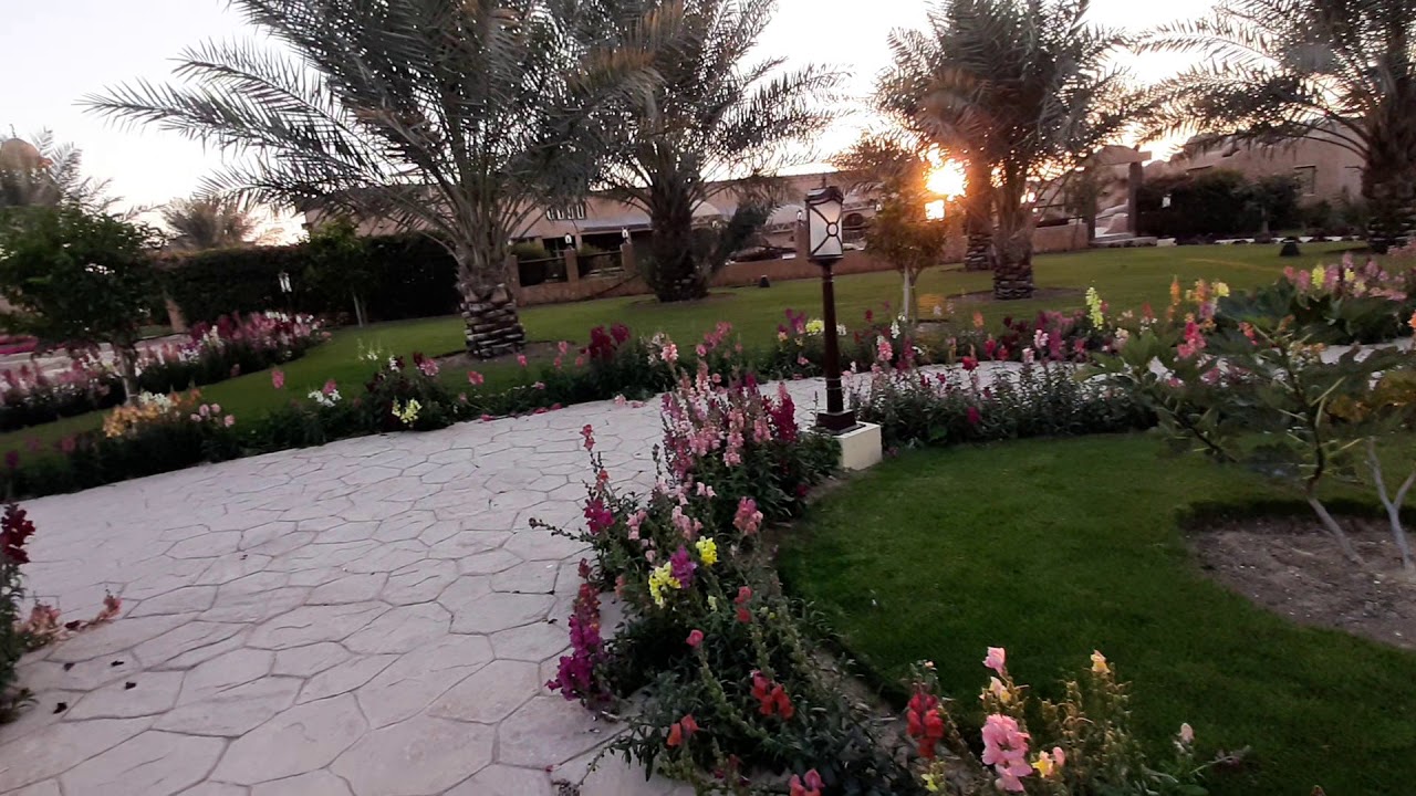 AMAZING FARM in QATAR Part 1 - YouTube