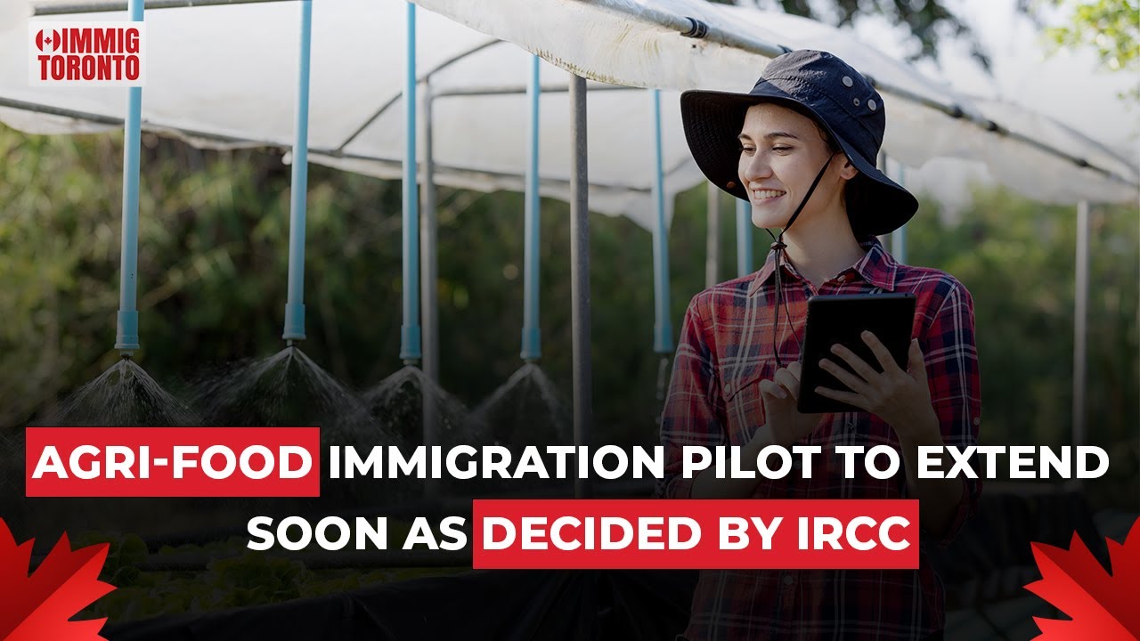 Food Immigration Pilot to extend soon as decided by IRCC | ImmigToronto ...