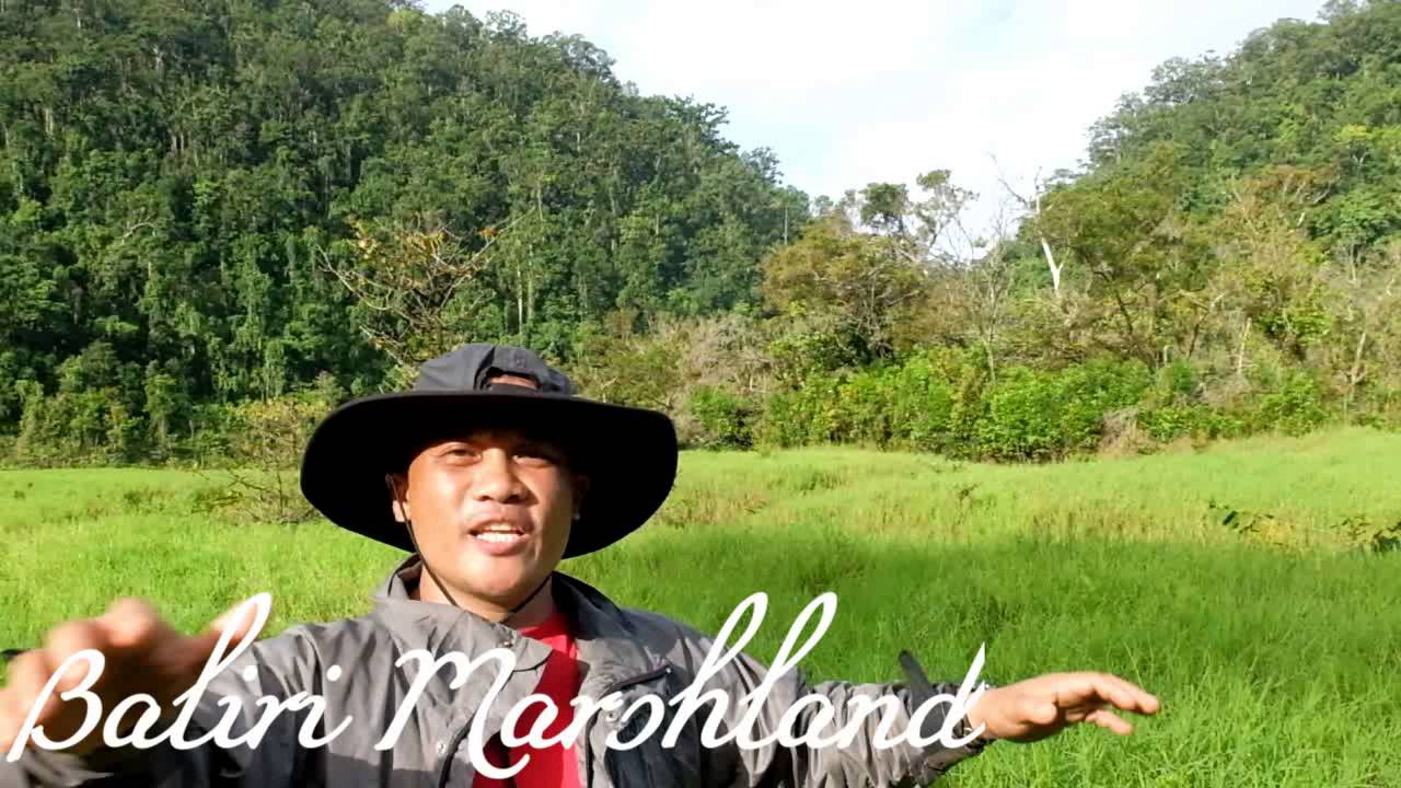 Taft, Eastern Samar - YouTube