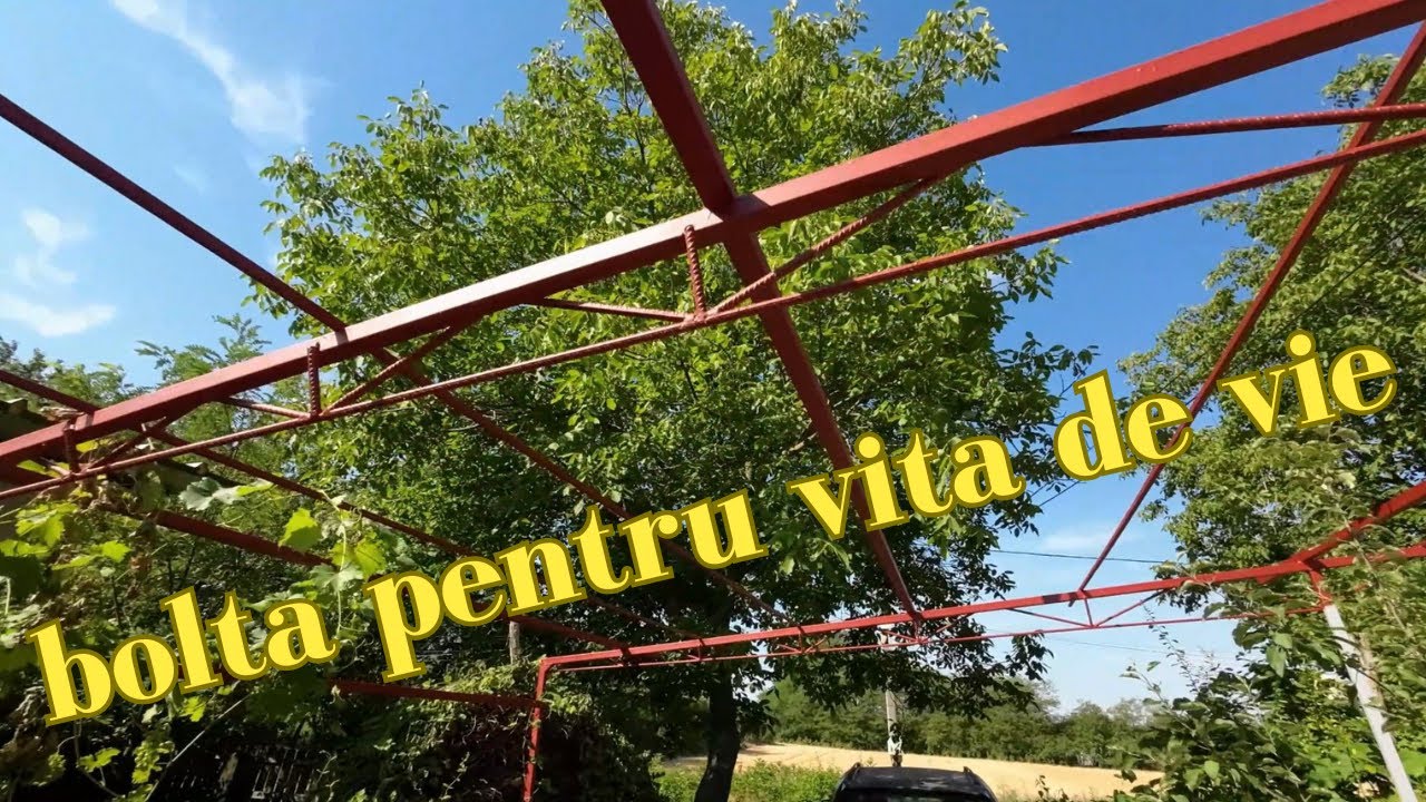 Bolta din fata casei - YouTube